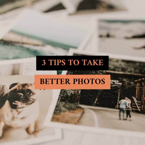 Use an Instagram Video Maker to Create Cool Videos | Placeit